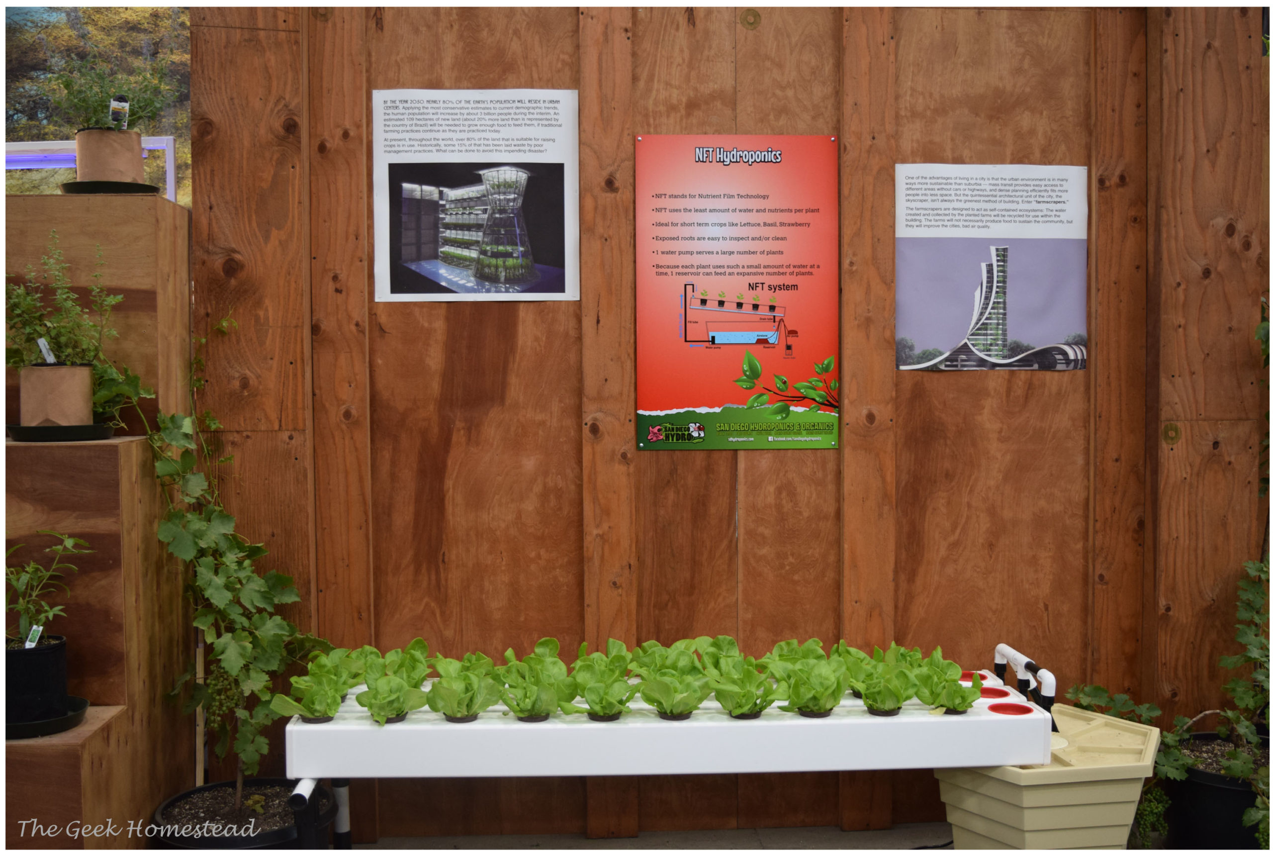 hydroponicsdisplay1 | The Geek Homestead