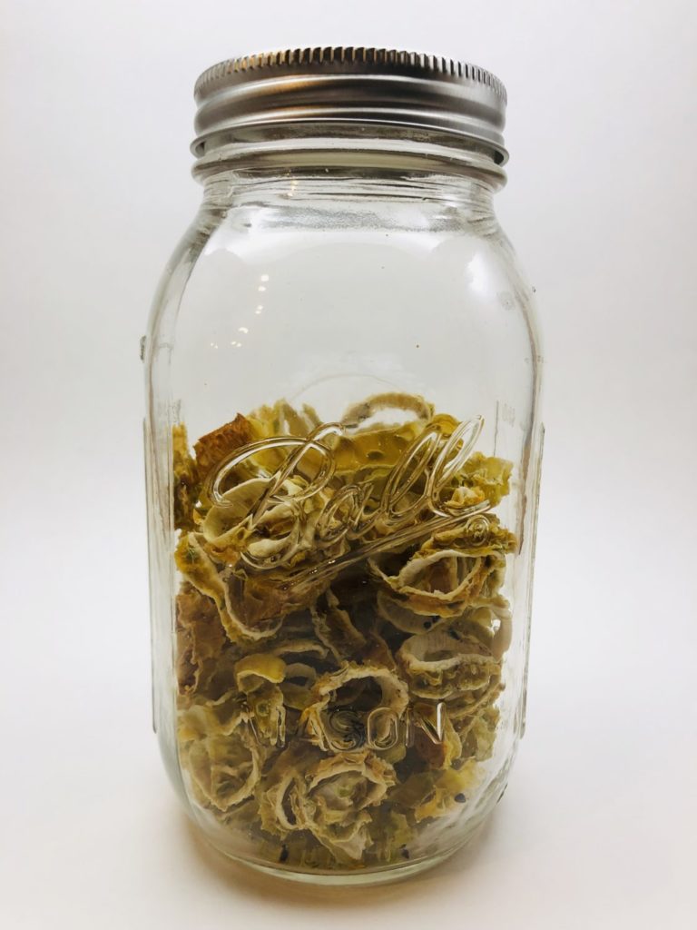 Dehydrating Barrel Cactus Fruit - The Geek Homestead